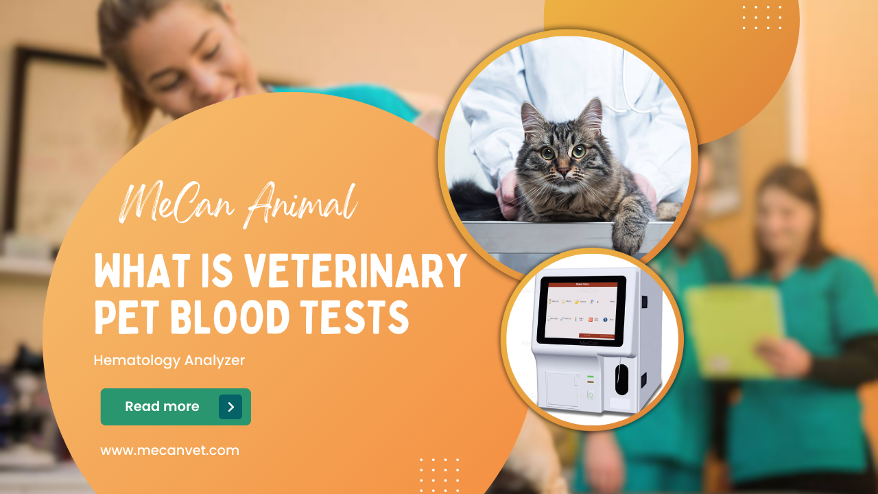 What is Veterinary Pet Blood Tests
